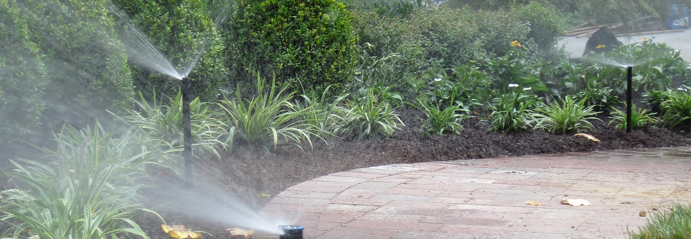 How to Properly Water New Plants - Burkholder Landscape